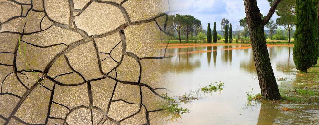 Étude de sol : différentes études selon le type de zone où vous vous ...